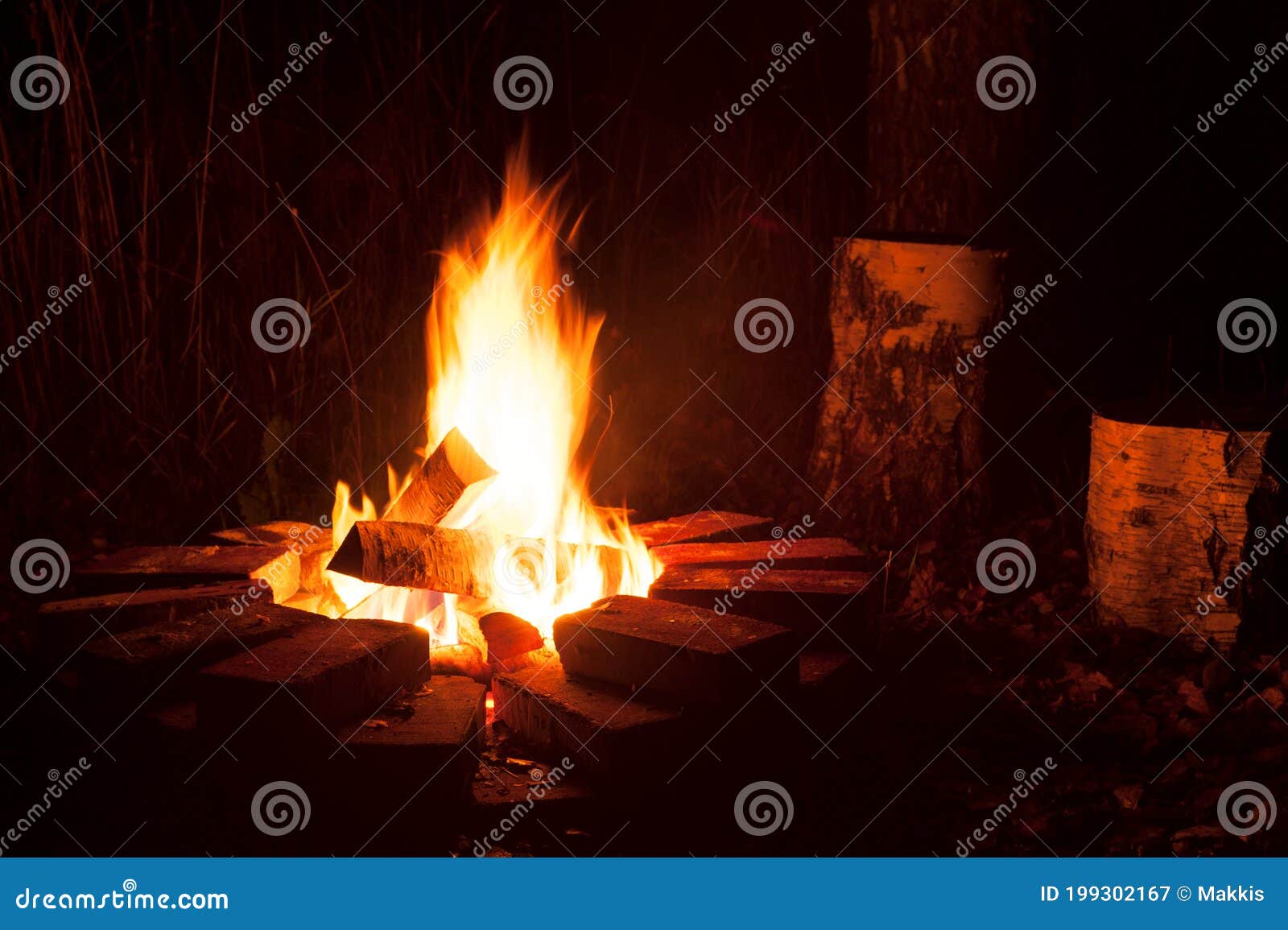 Campfire in the Dark Evening Stock Image - Image of campsite, autumn ...