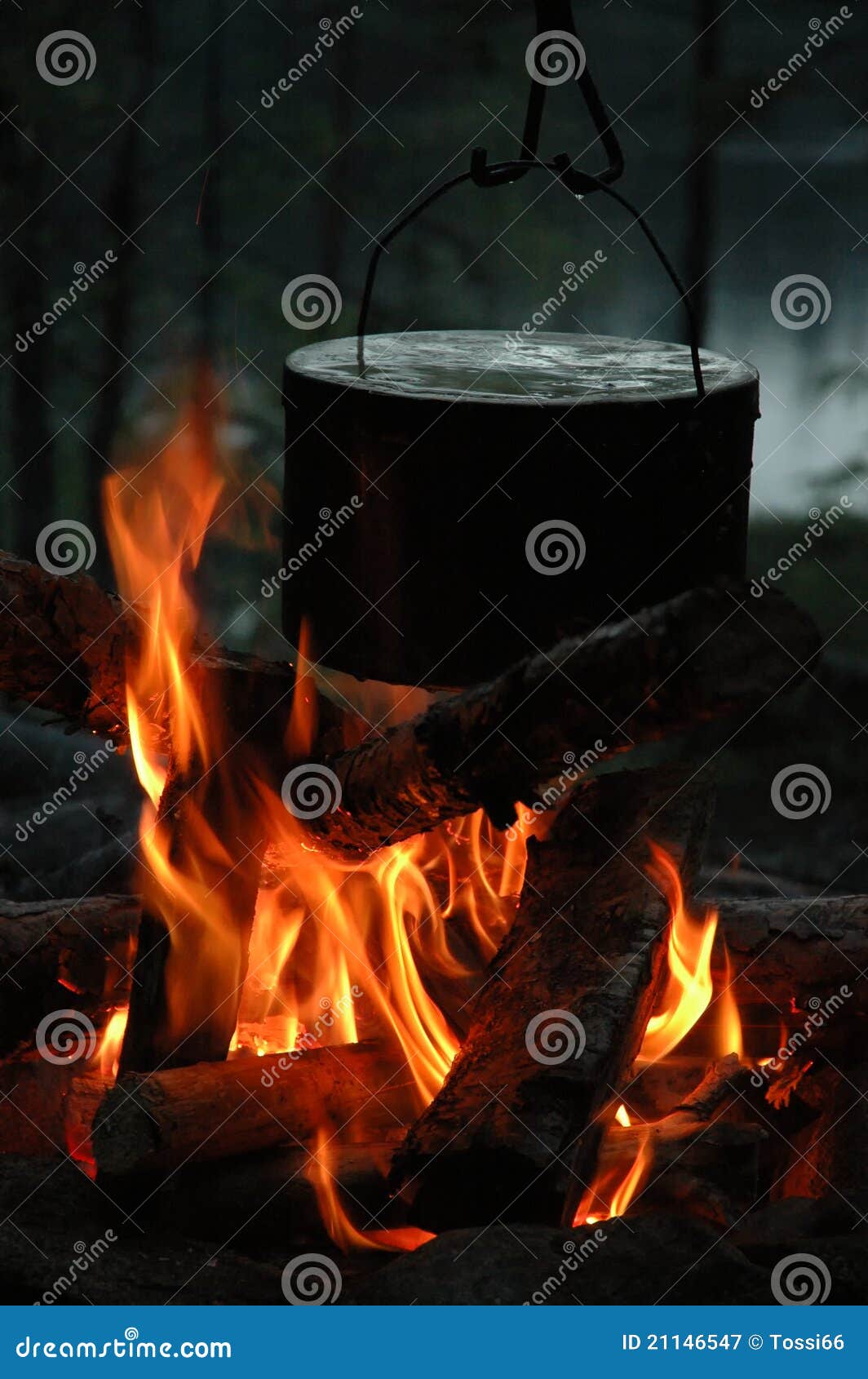 Campfire stock image. Image of campfire, firewood, domestic - 21146547
