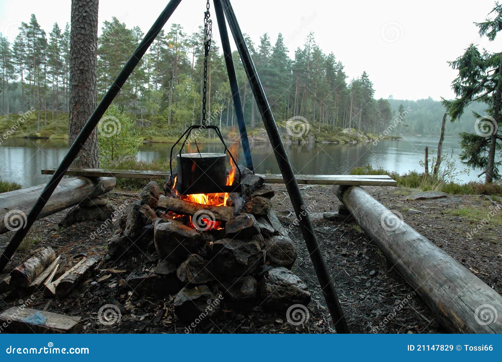 Campfire stock image. Image of landscape, coal, bonfire - 21147829