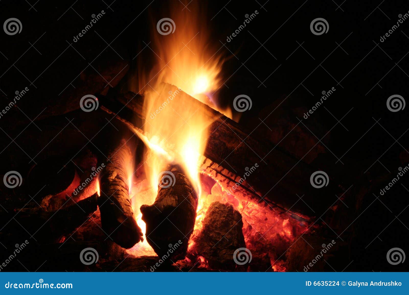 Campfire stock photo. Image of camping, campfire, forest - 6635224