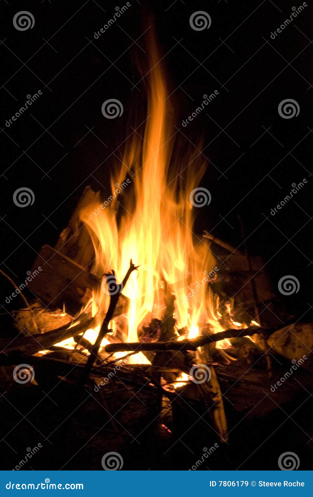 Campfire stock image. Image of nature, abstract, barbecue - 7806179