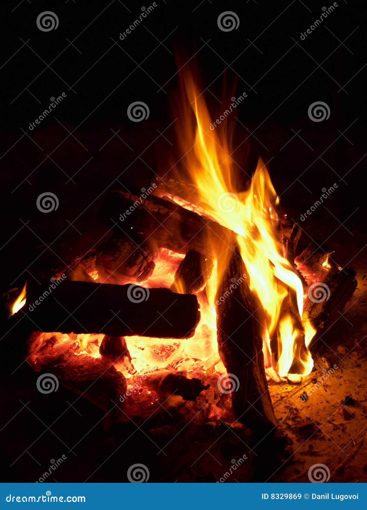 Campfire stock image. Image of burning, bonfire, camp - 8329869