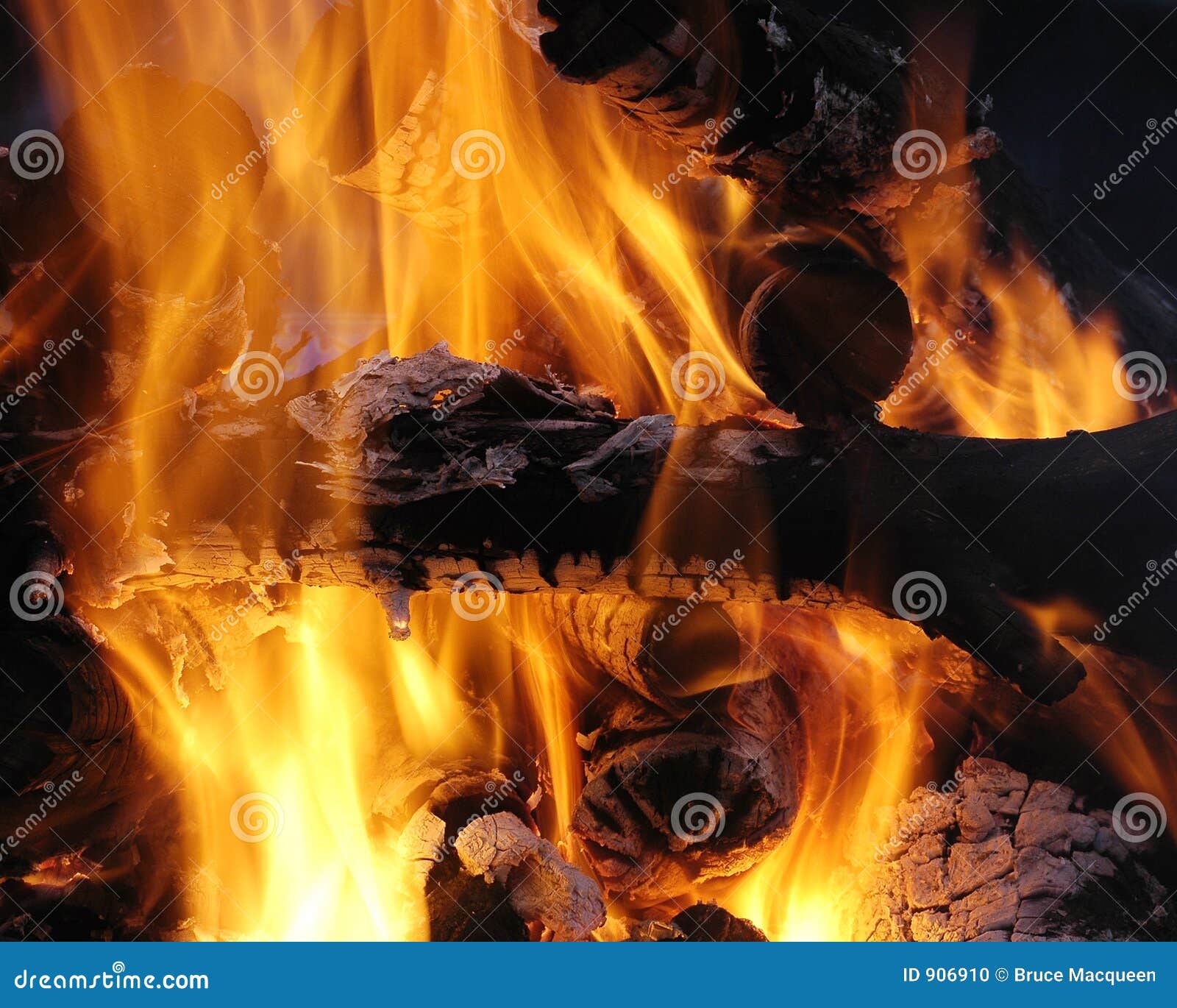 Campfire stock photo. Image of burning, outdoors, logs - 906910