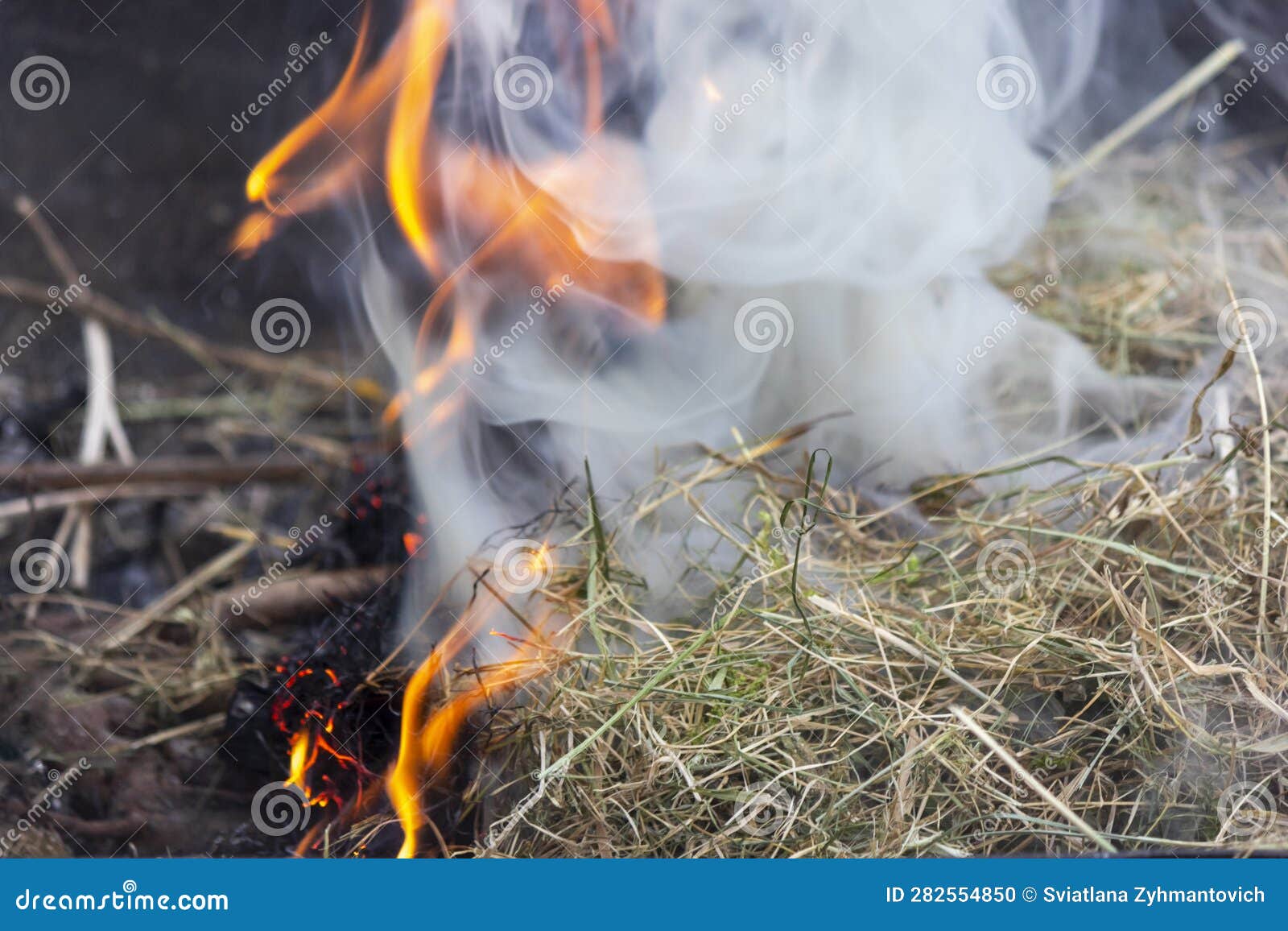 Campfire with Big Orange Flame Burning in the Evening Stock Photo ...