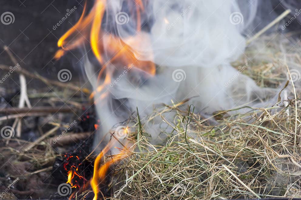 Campfire with Big Orange Flame Burning in the Evening Stock Photo ...