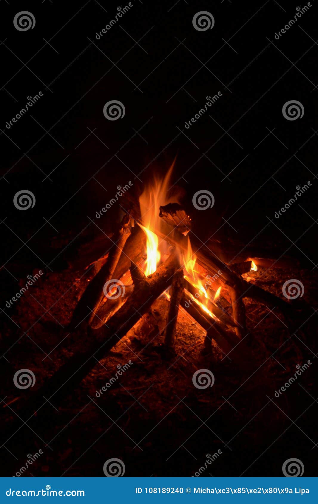 Campfire Light in the Dark Night Forest Stock Photo - Image of trees ...