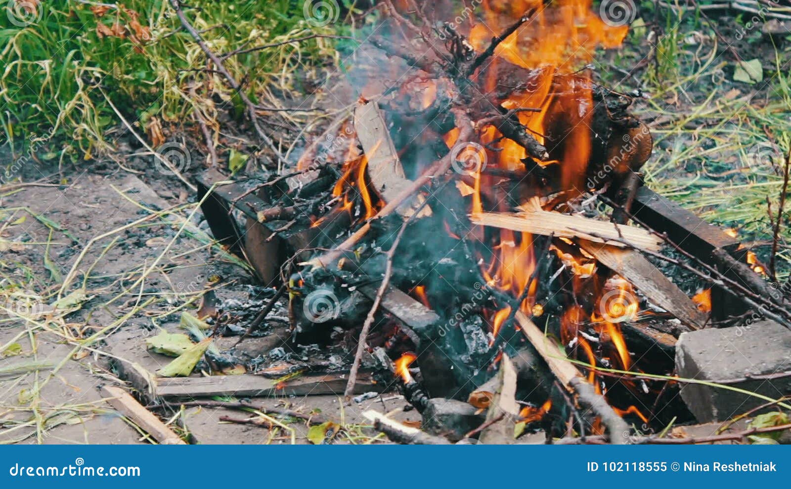 Dry Branches Burn on Ground, Branches of Trees Burn on Fire Stock Video ...