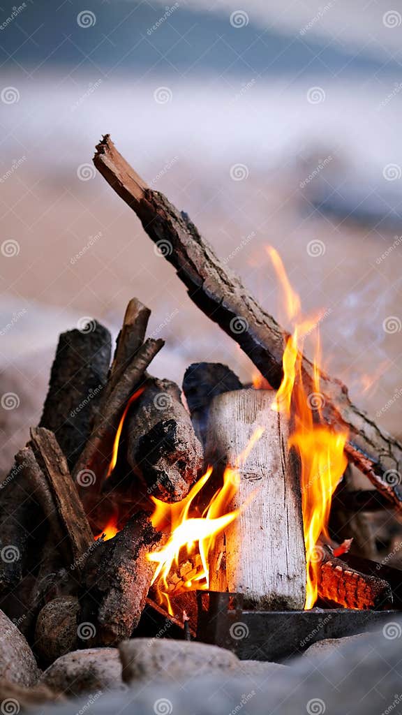 Campfire stock photo. Image of black, campfire, nature - 38013178