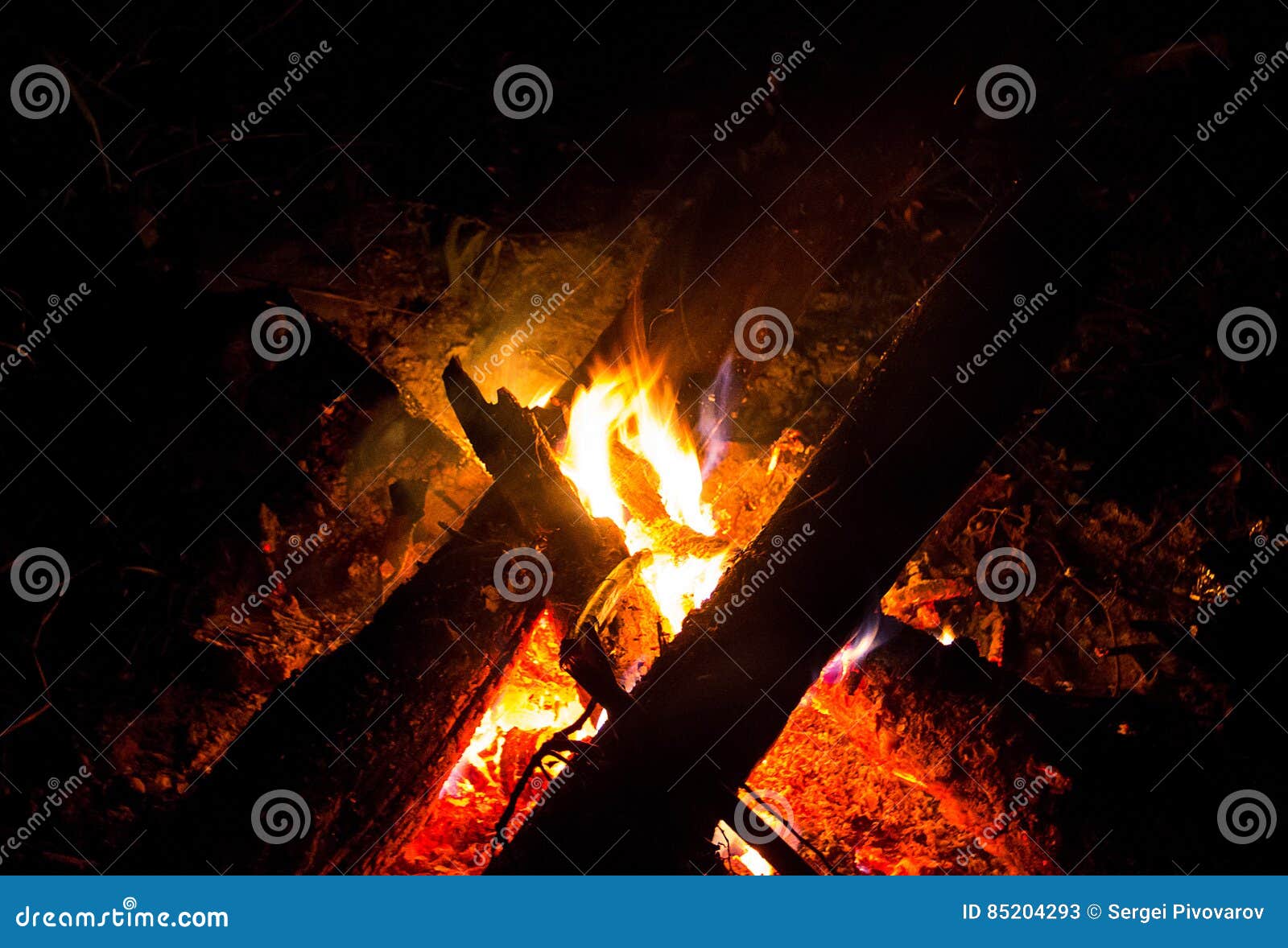 Campfire, Bright Fire Flames Over Black Night Background Stock Image ...