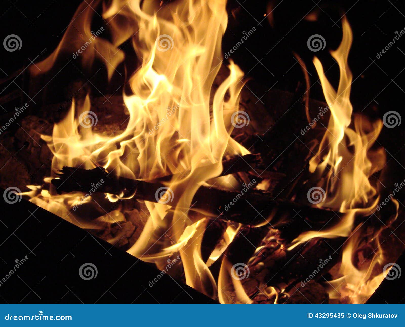 Campfire stock image. Image of blaze, yellow, firewood - 43295435