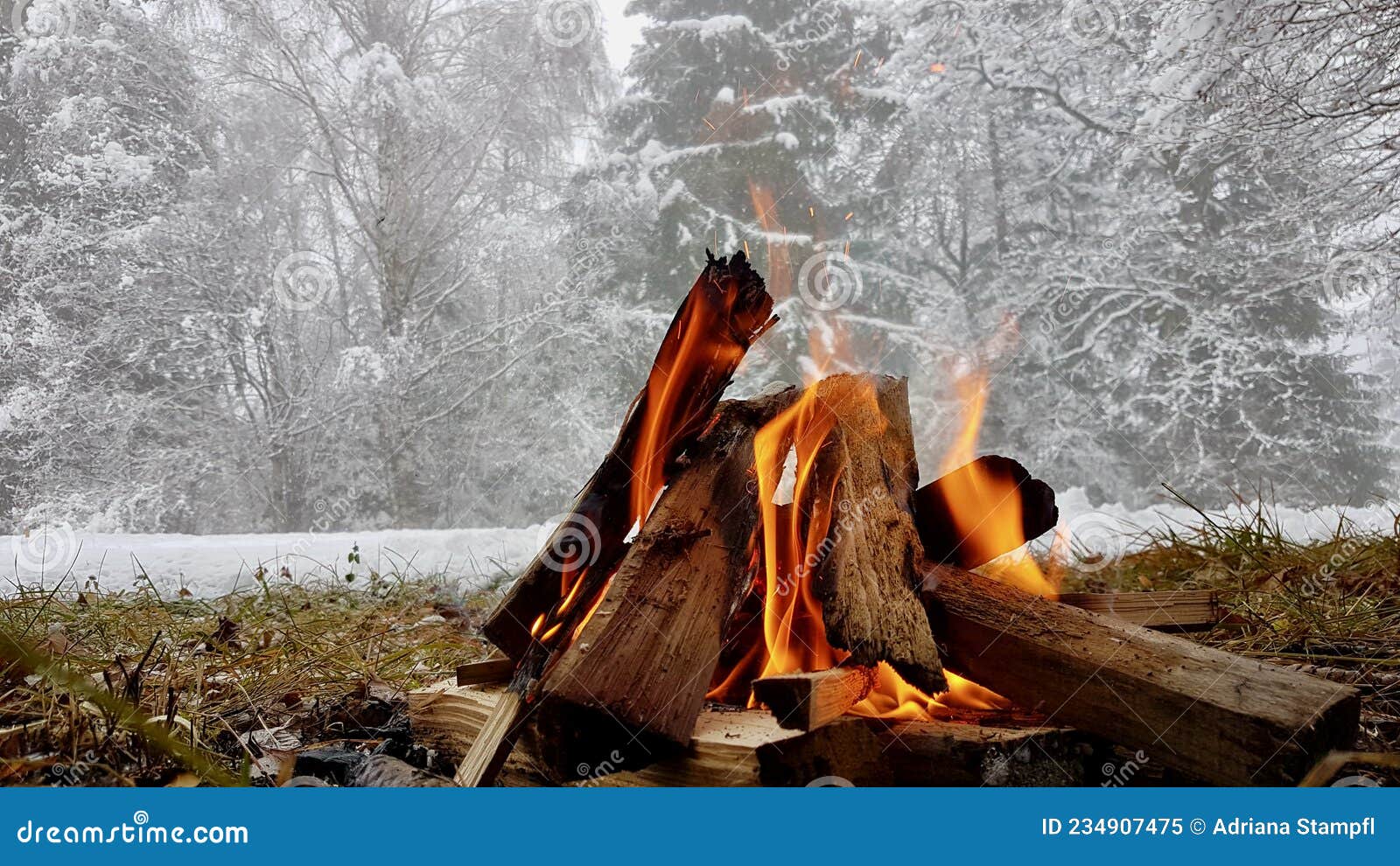Campfire Burning in the Cold Winter with Snow-covered Trees in the ...
