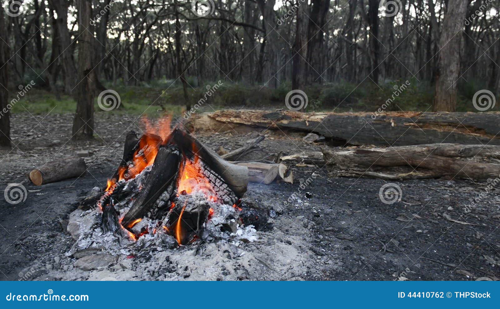 Campfire stock footage. Video of definition, angle, camp - 44410762
