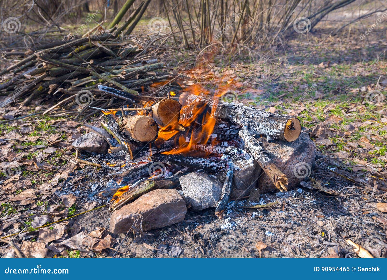 Campfire Burns In The Snow In The Woods.. Campfire Burning In Cold ...