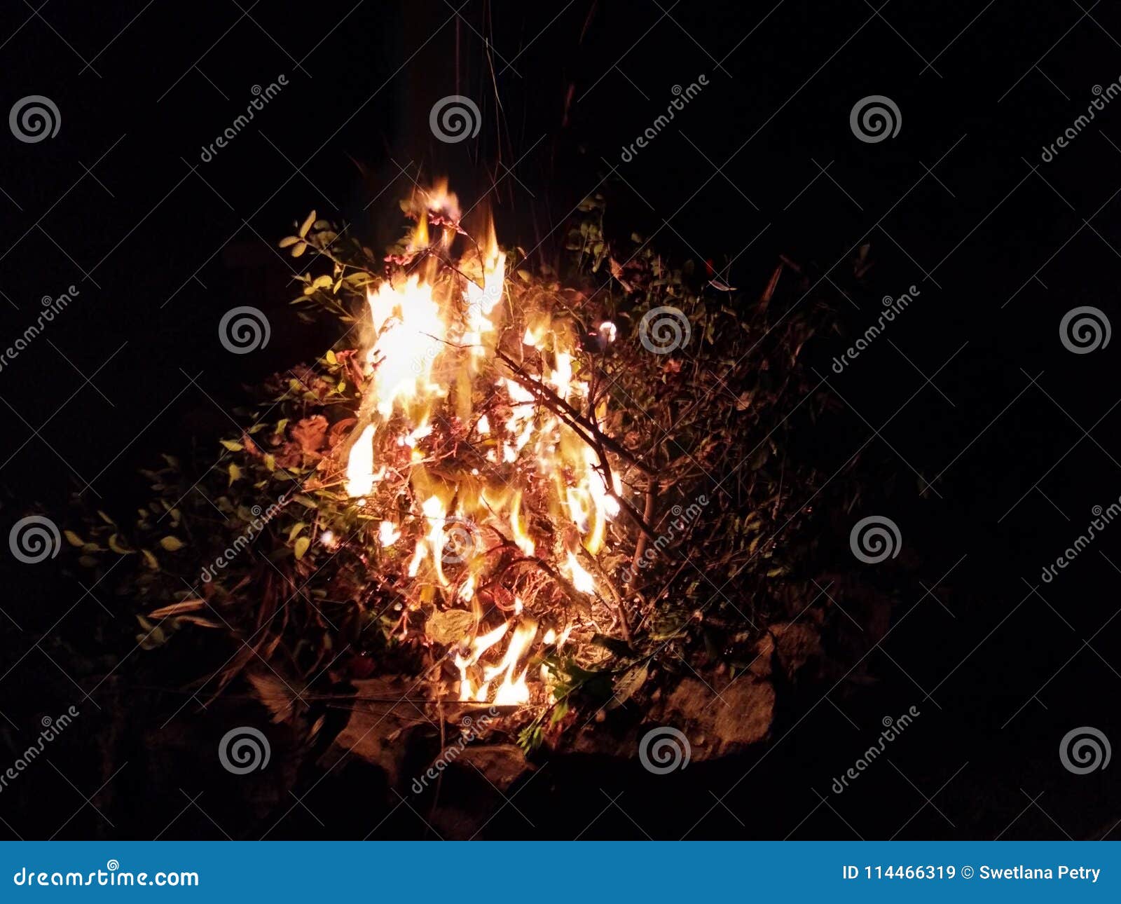 Campfire stock image. Image of burning, face, night - 114466319