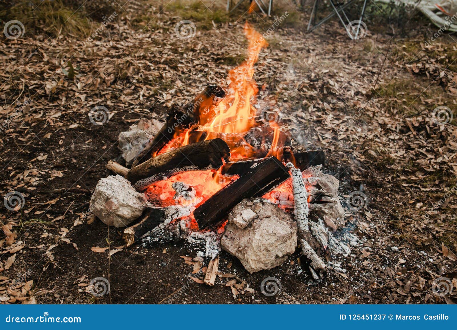 Campfire and Camping in a Forest Stock Image - Image of activity, light ...