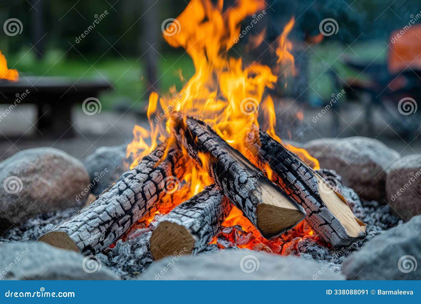 Campfire with Charred Logs with Forest in the Background Stock Image ...