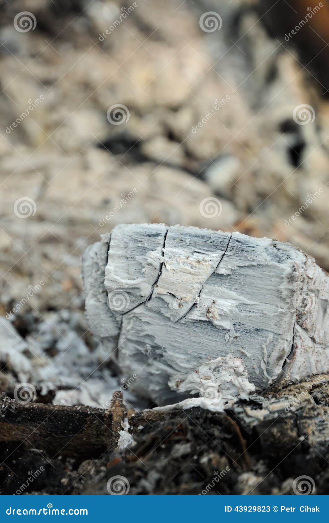 Campfire cinder stock image. Image of burning, wood, outdoor - 43929823