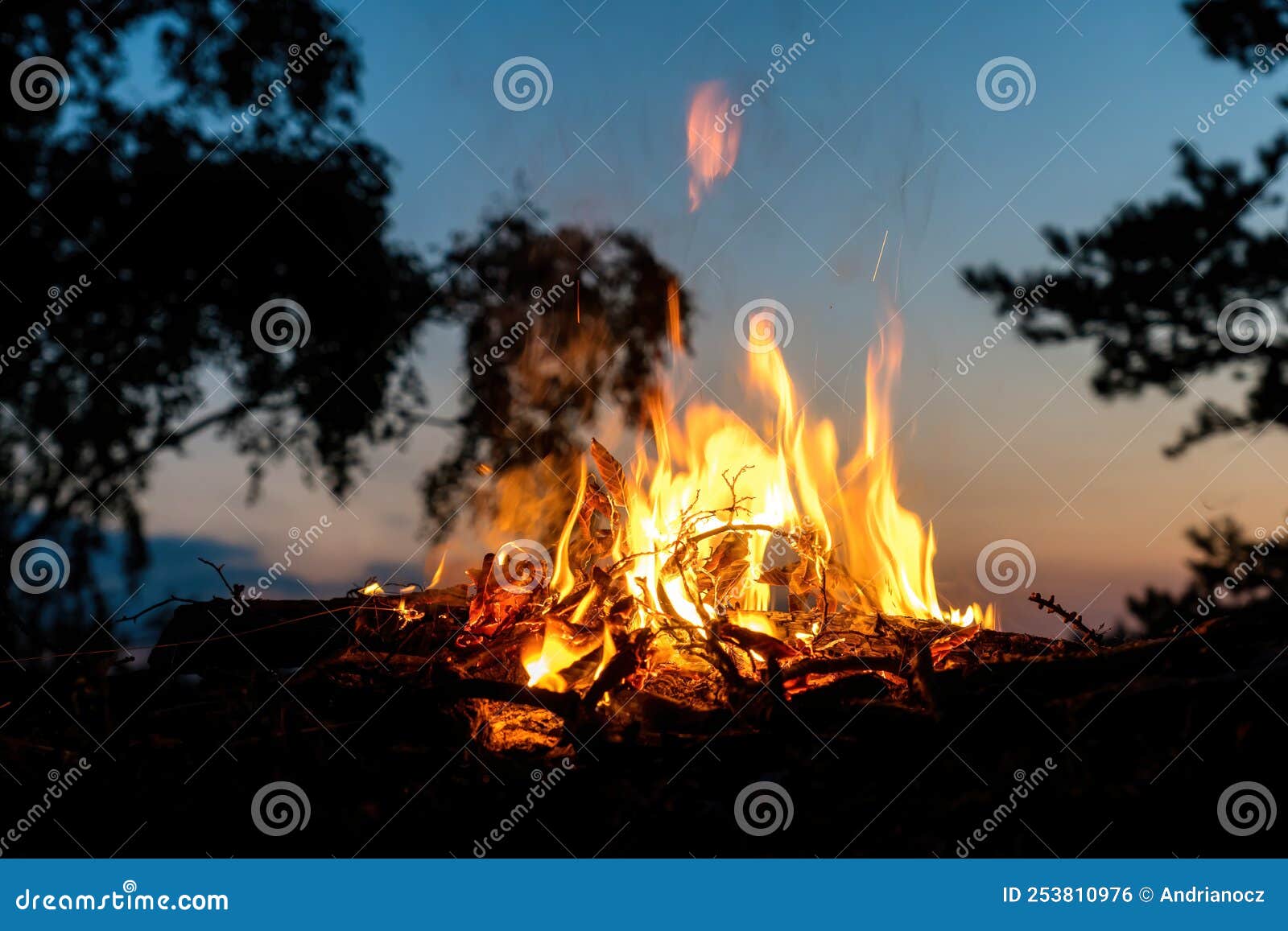 Campfire on a Cliff by the Rock Stock Photo - Image of heat, fire ...