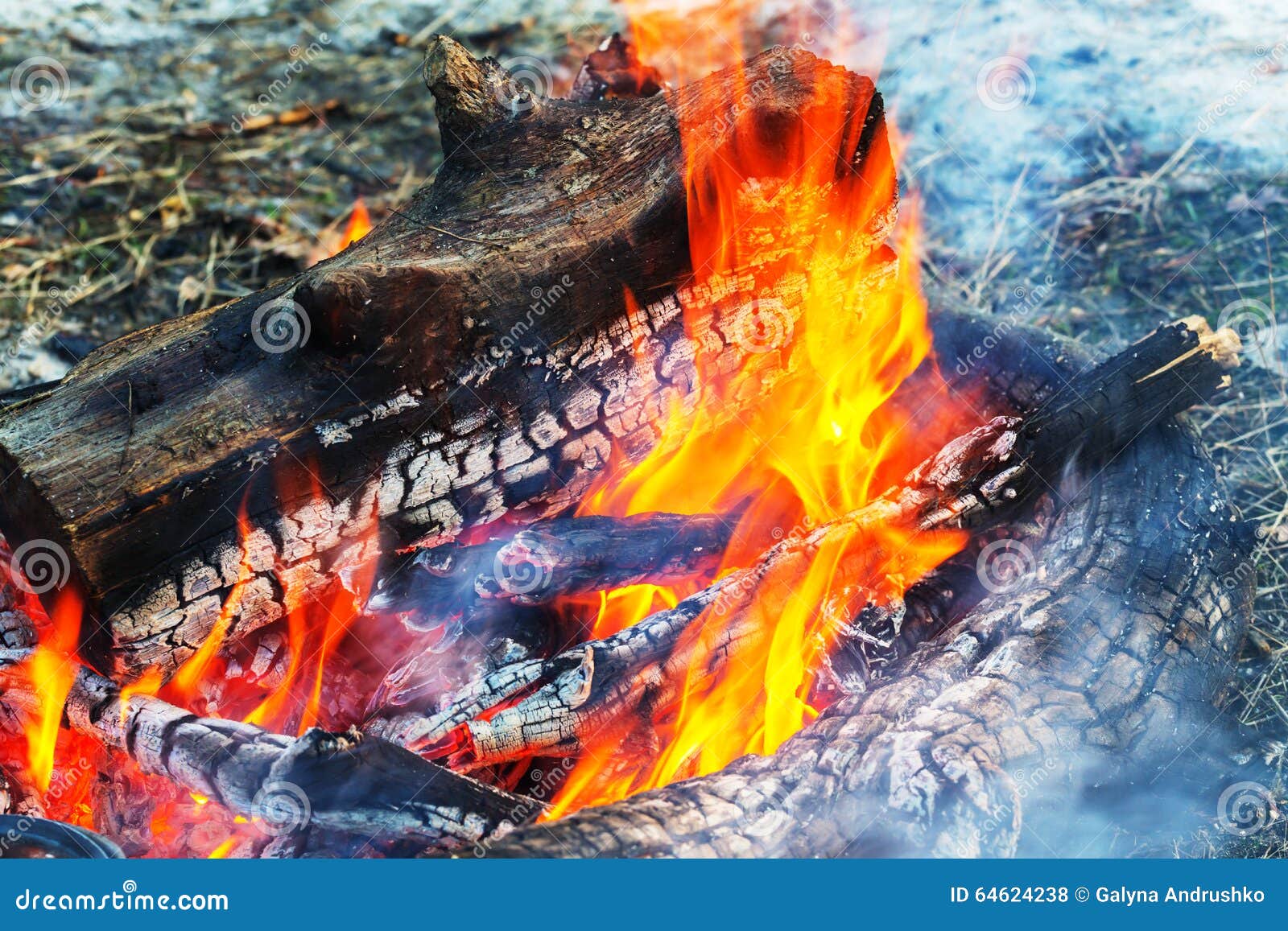 Campfire stock photo. Image of combustible, fuel, flaming - 64624238