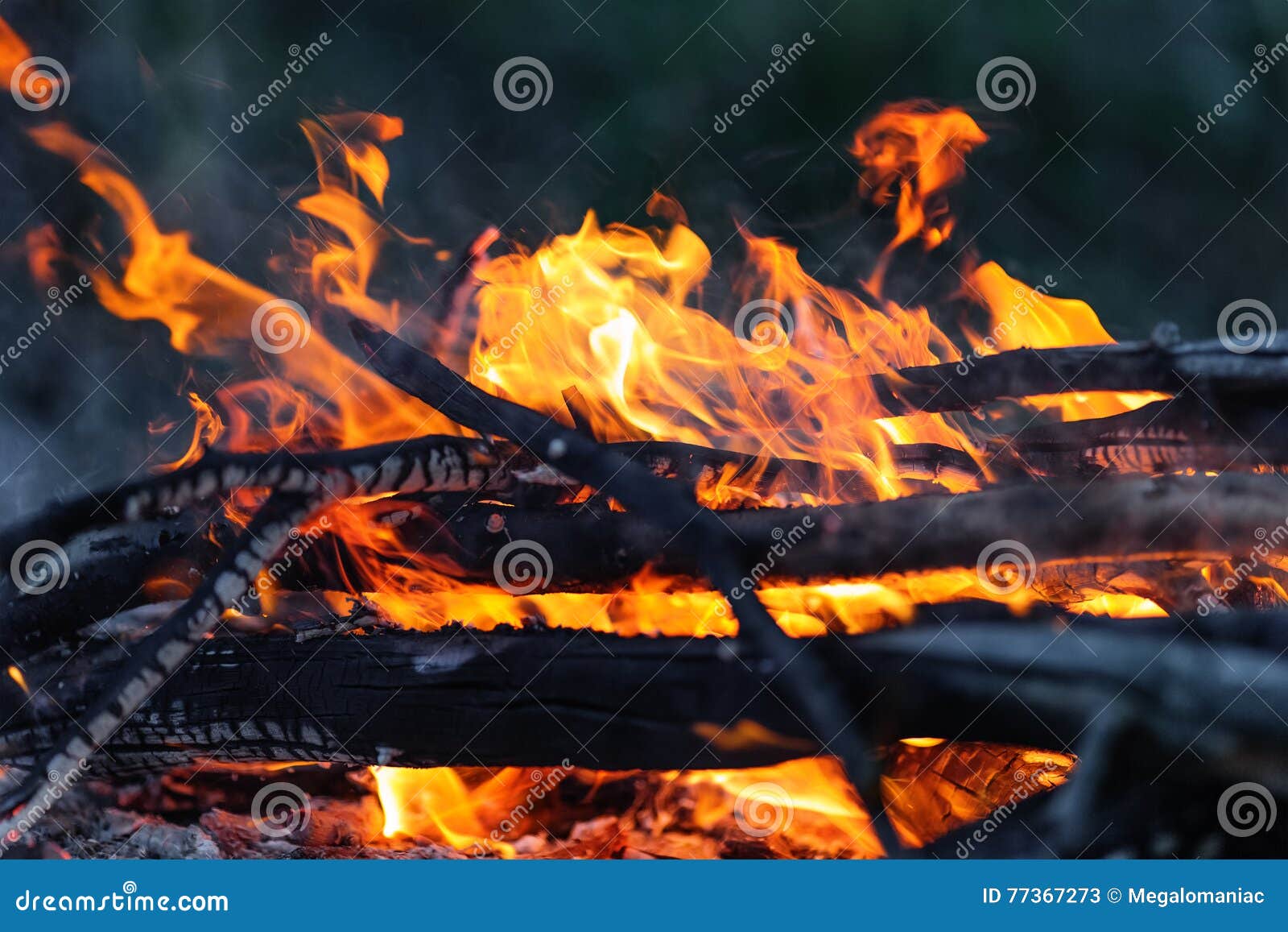 Campfire stock image. Image of raising, dangerous, blaze - 77367273
