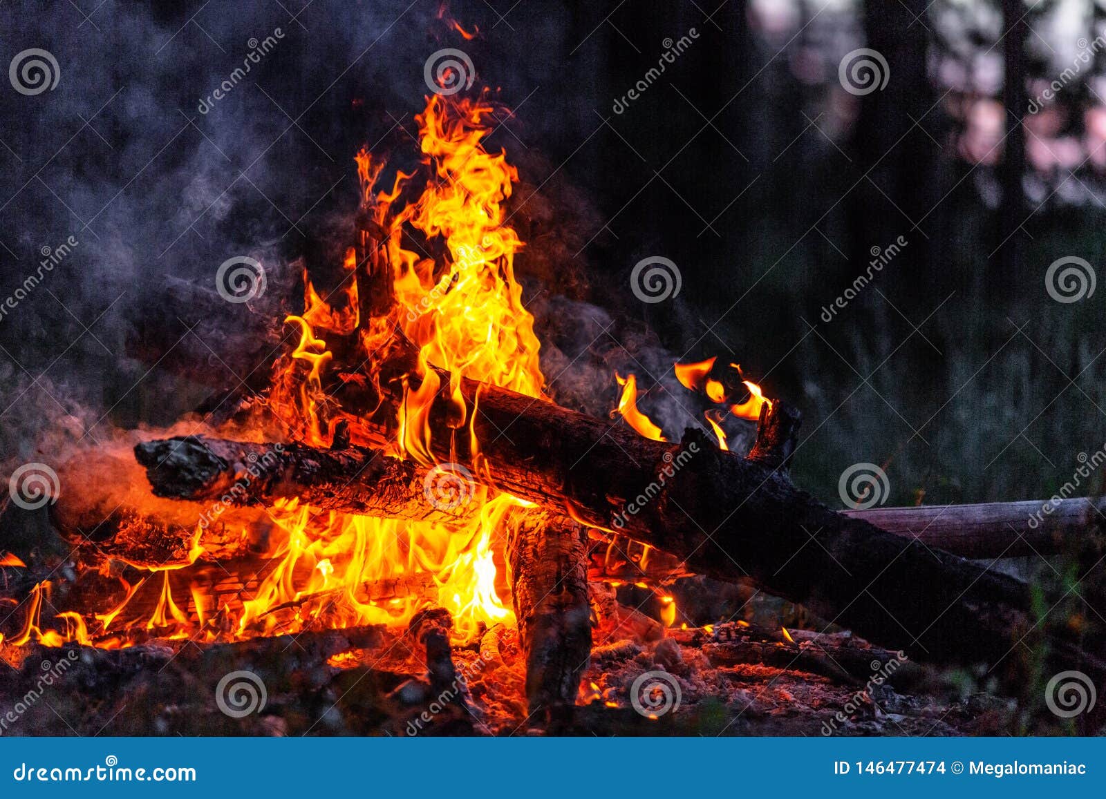 Campfire stock photo. Image of evening, campfire, burned - 146477474