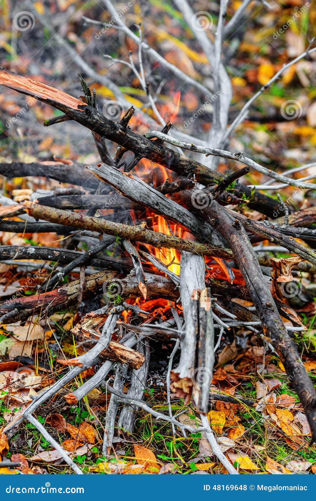 Campfire stock photo. Image of funeral, burned, grass - 48169648