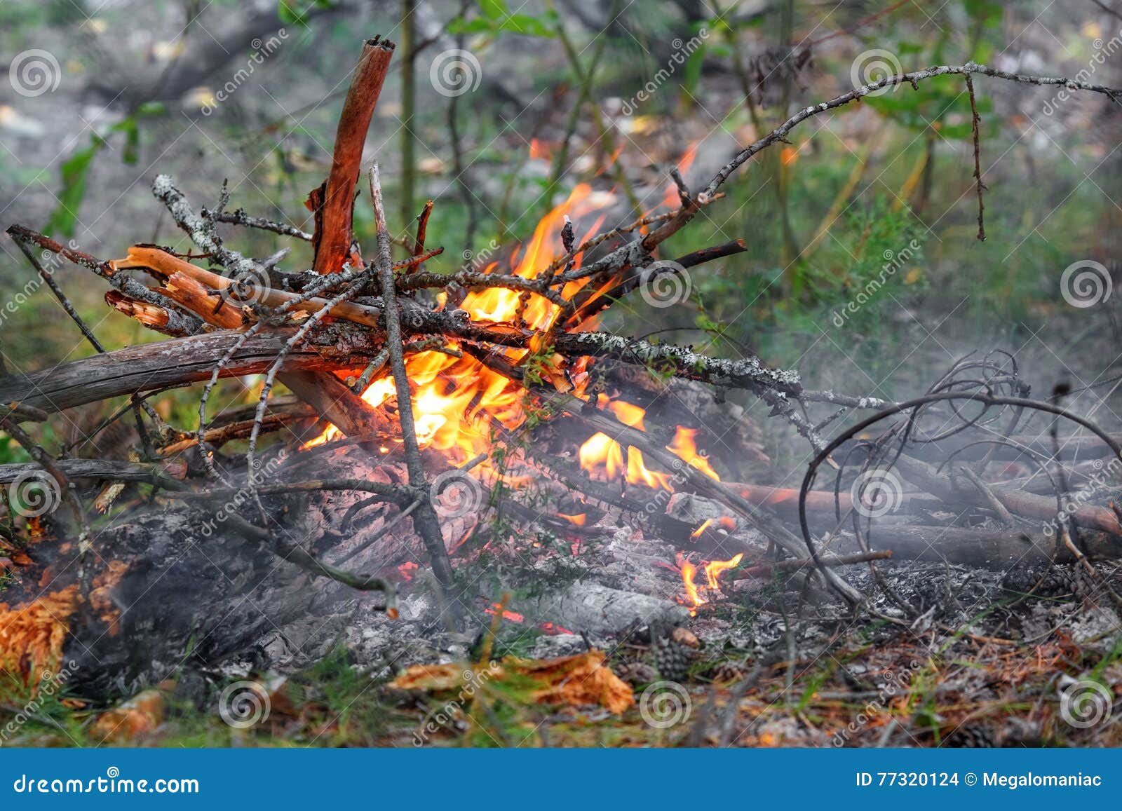Campfire stock photo. Image of coal, burn, blazing, burned - 77320124