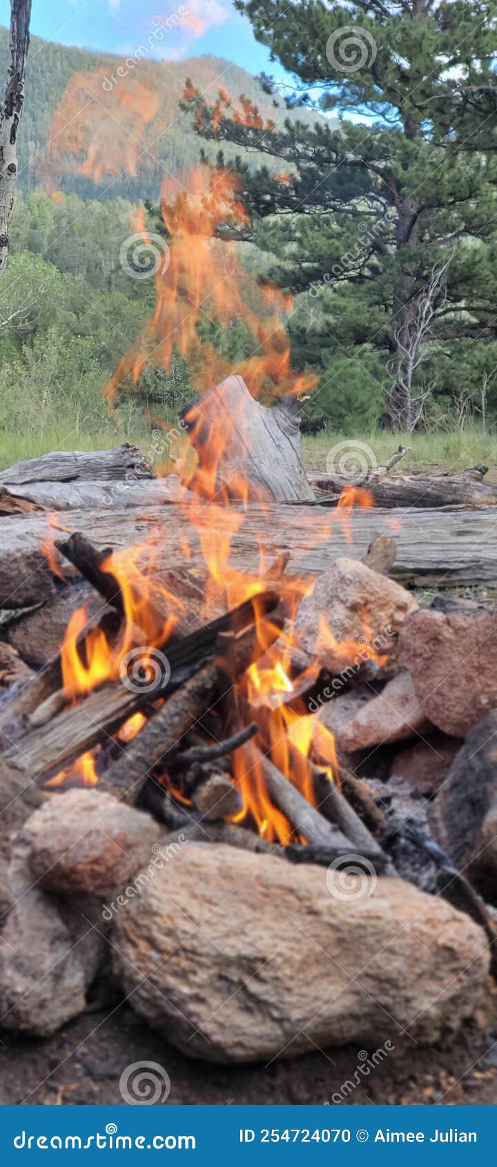 Campfire in the Colorado Mountains Stock Photo - Image of colorado ...