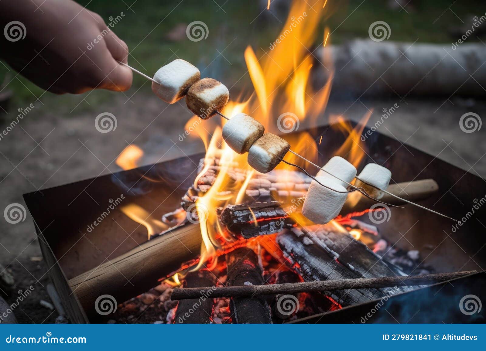 Campfire Cook Roasting Marshmallows Over Open Flame Stock Illustration ...