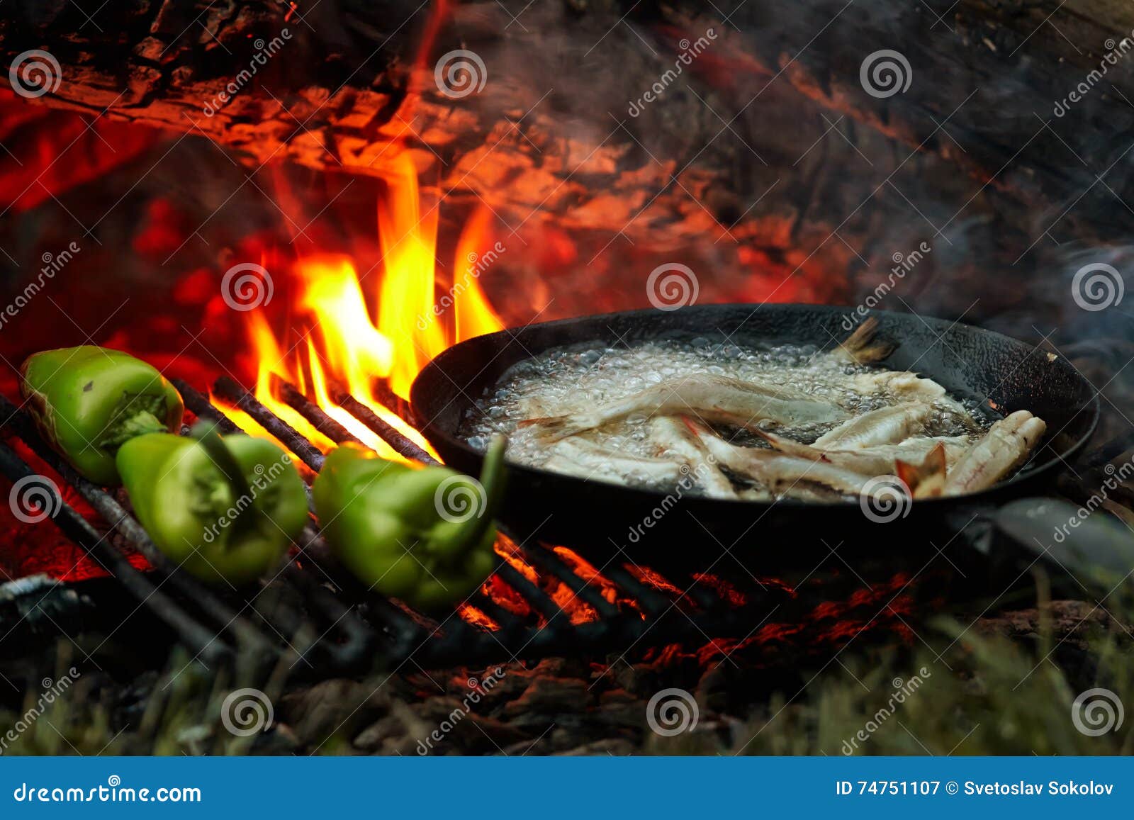 Campfire cooking stock image. Image of dinner, lunch - 74751107