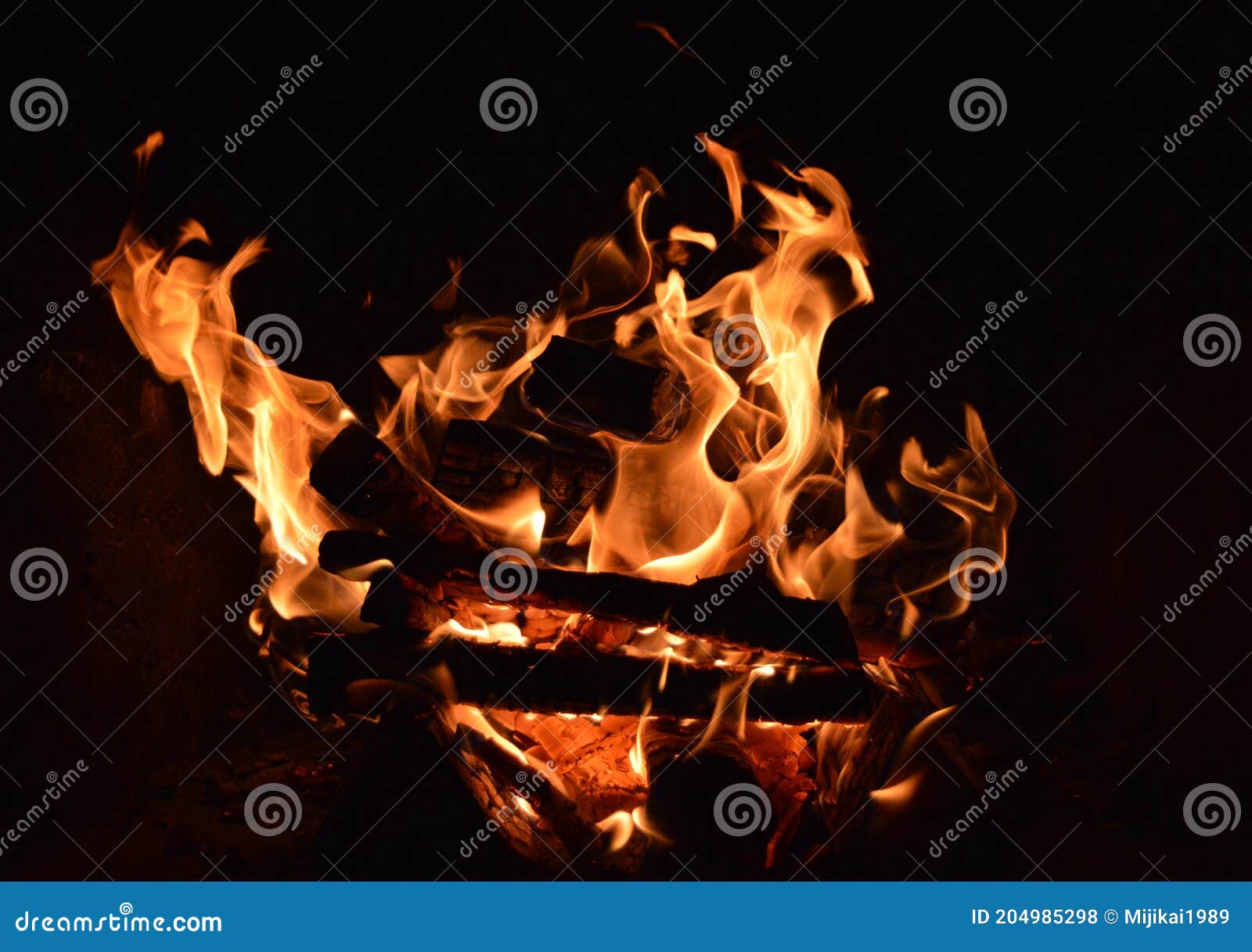 Campfire in the dark stock photo. Image of dark, glowing - 204985298