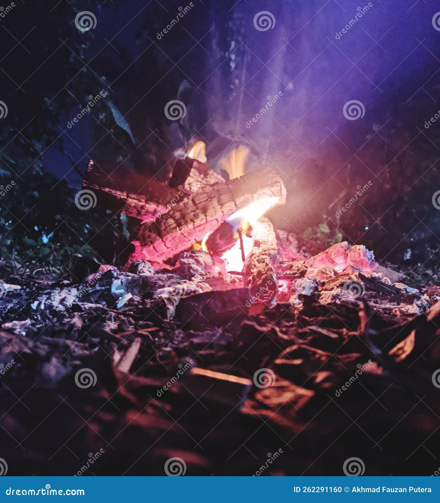 Campfire in the darkness stock photo. Image of flame - 262291160