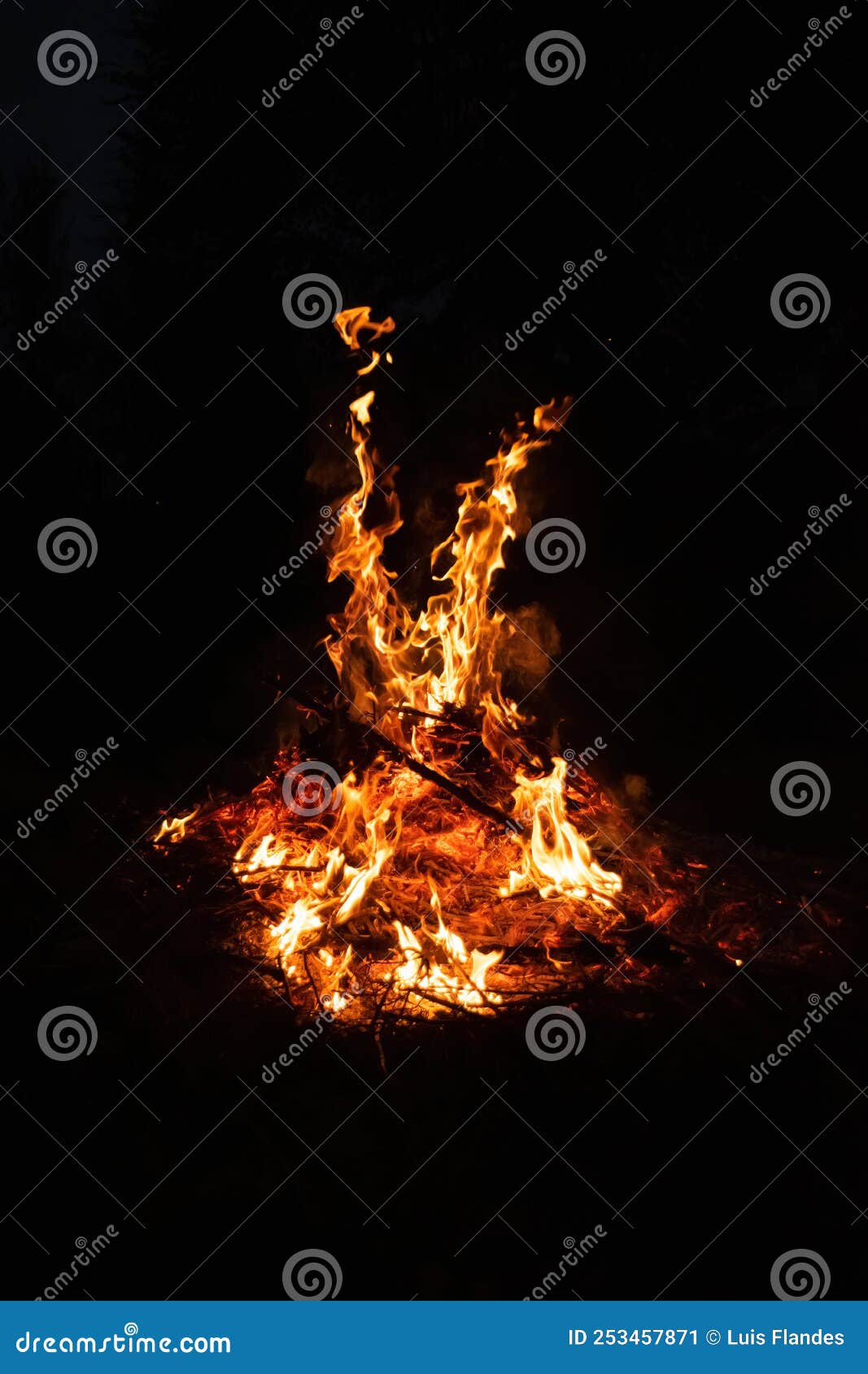A Campfire in the Middle of the Dark Forest Stock Image - Image of ...