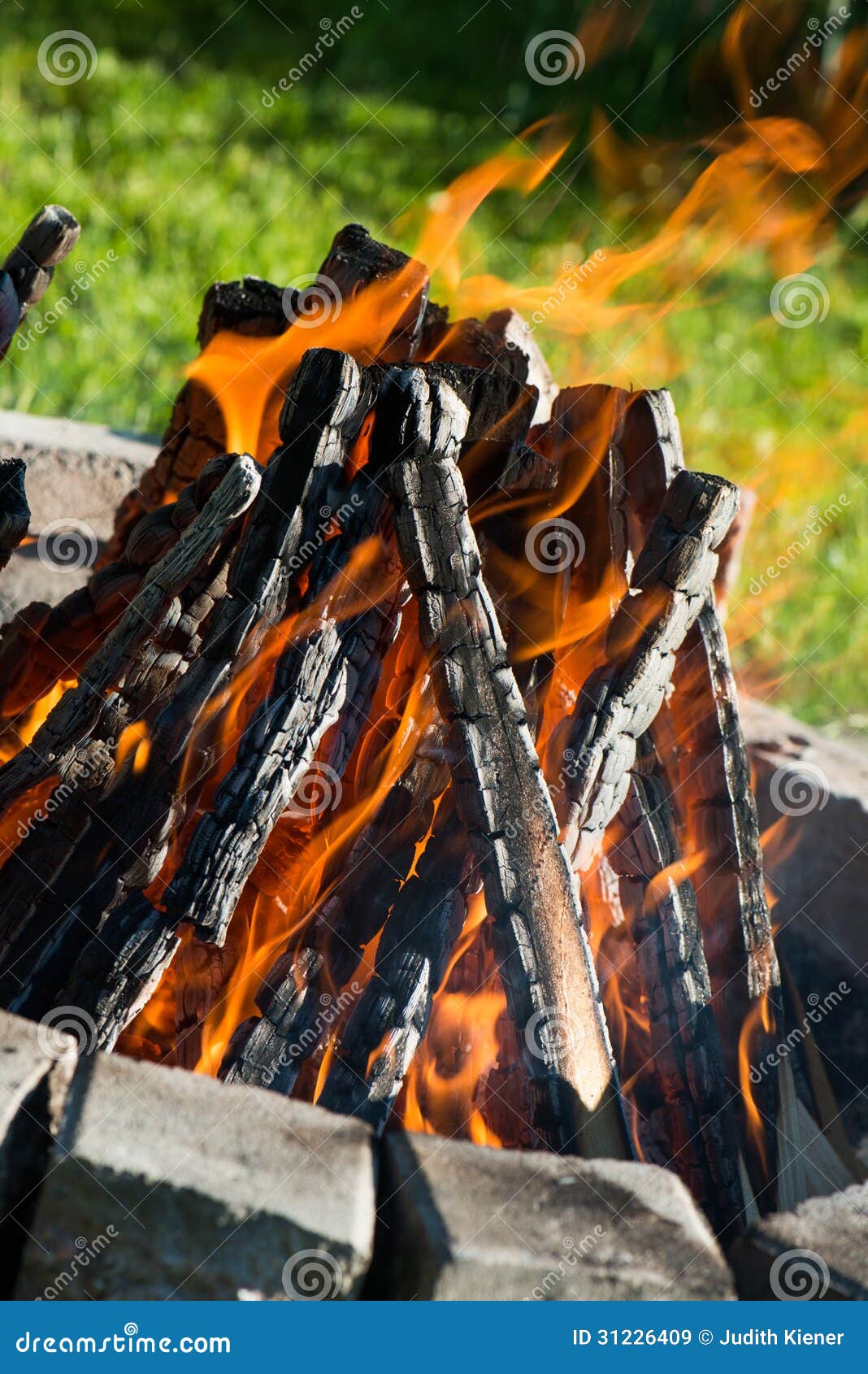 Campfire stock image. Image of coal, firewood, embers - 31226409