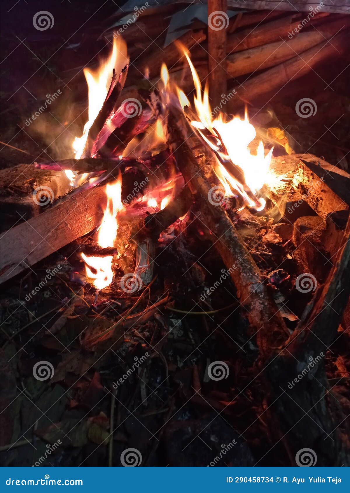 Campfire delight stock photo. Image of fire, night, bonfire - 290458734