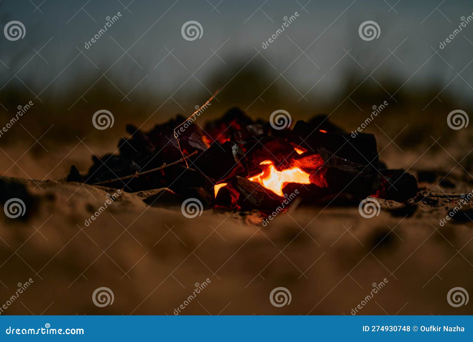 A campfire in the desert stock photo. Image of leaf - 274930748