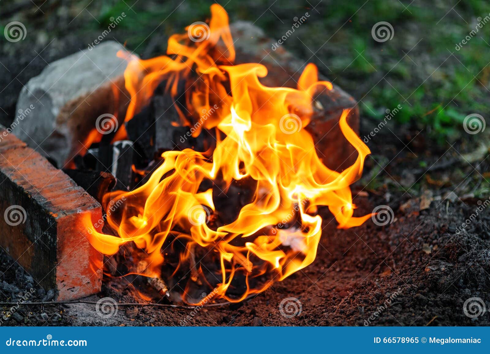 Campfire in evening stock image. Image of nature, fiery - 66578965