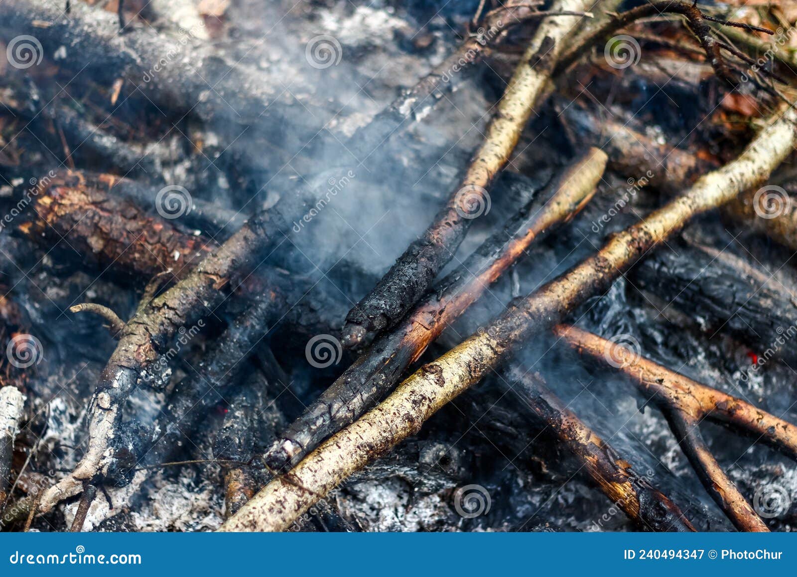 Campfire Extinguished by Water Stock Image - Image of charred, outdoor ...