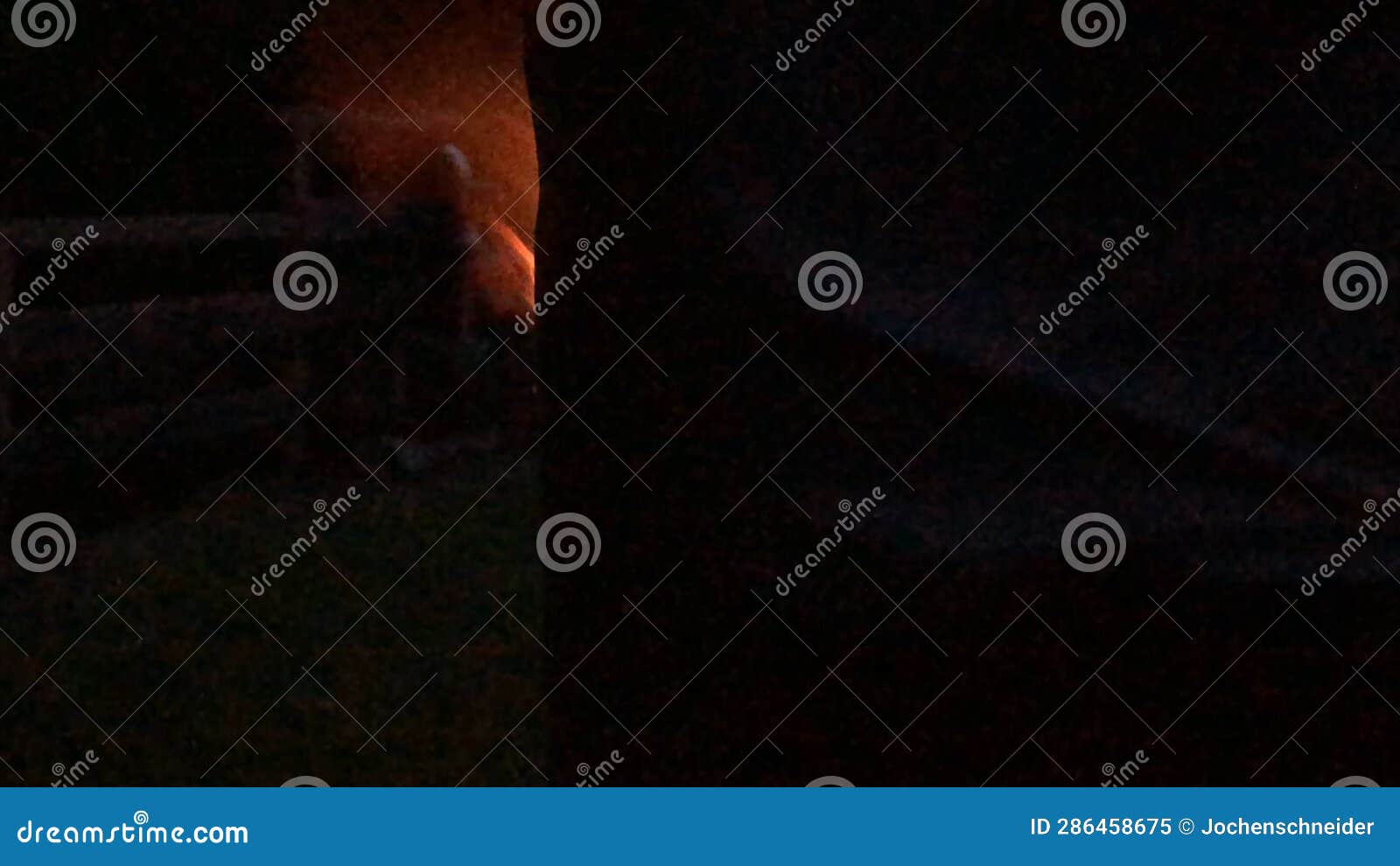 Campfire in a Fire Barrel at Night Stock Video - Video of high, fire ...