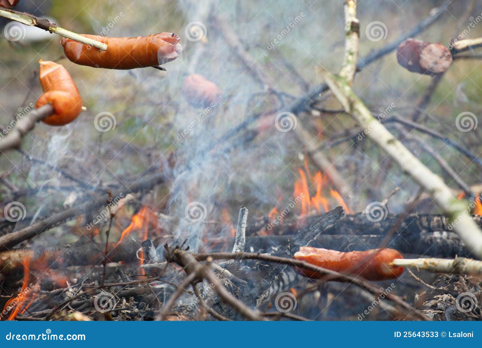 Campfire Fire Flames Grilling Sausage on the BBQ Stock Image - Image of ...