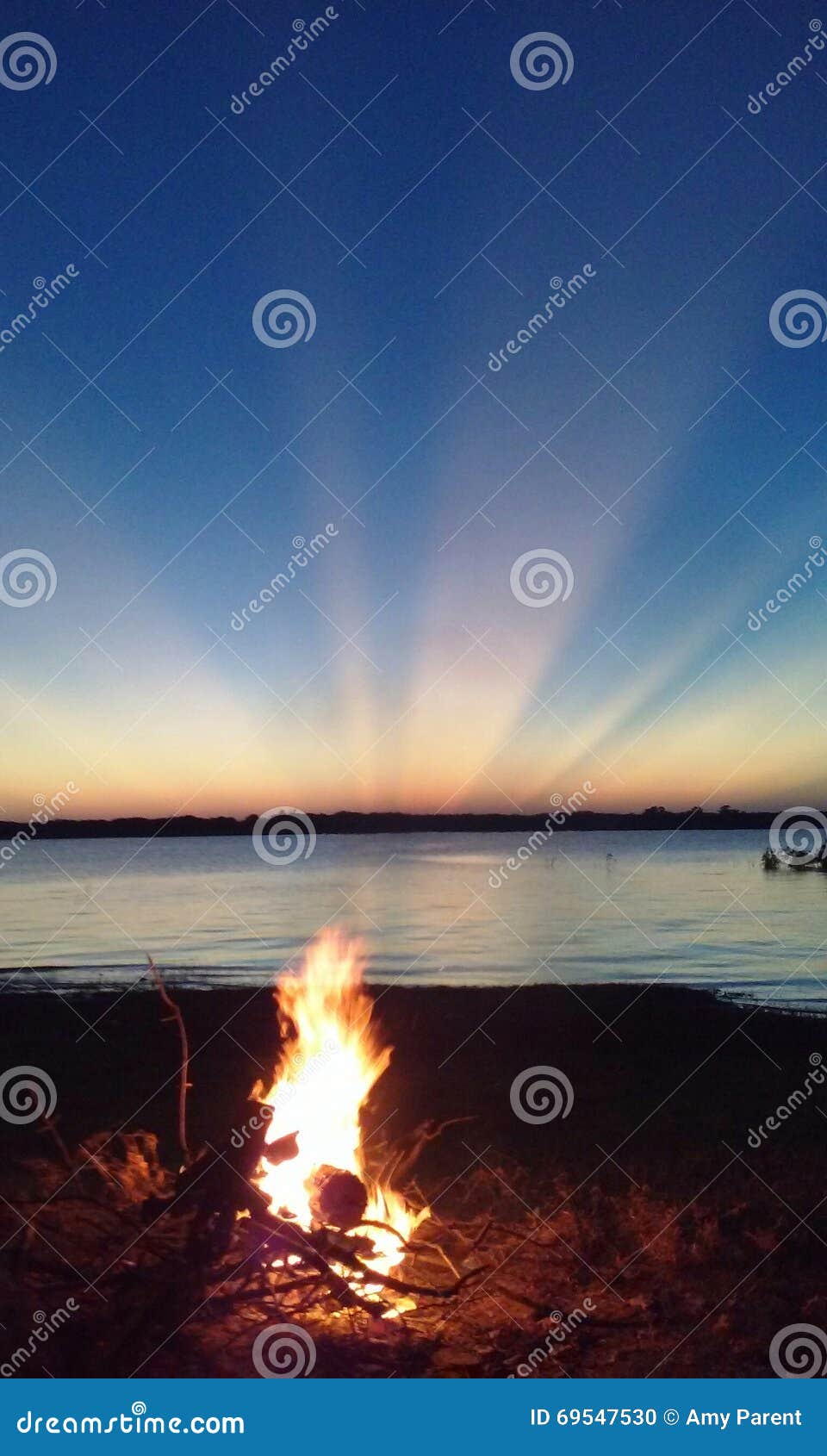 Campfire stock photo. Image of camping, fire, sunset - 69547530