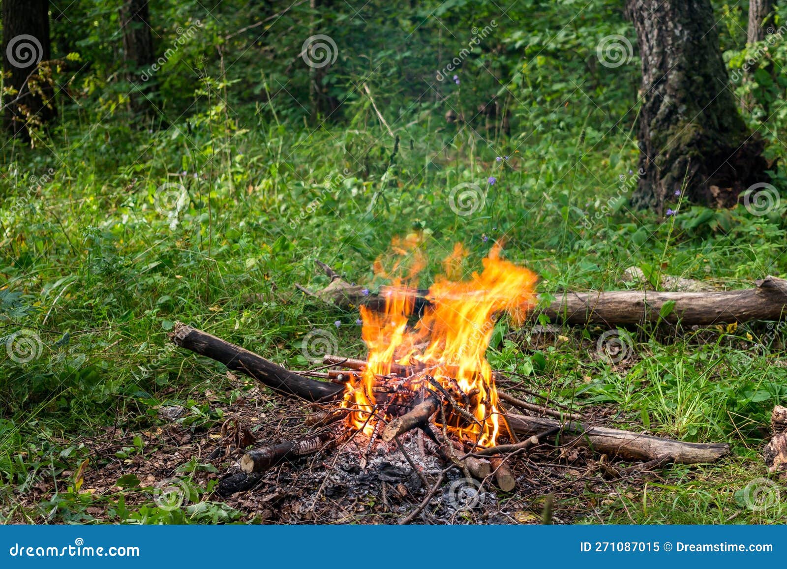 Campfire Flame in the Forest during a Hike Stock Image - Image of ...