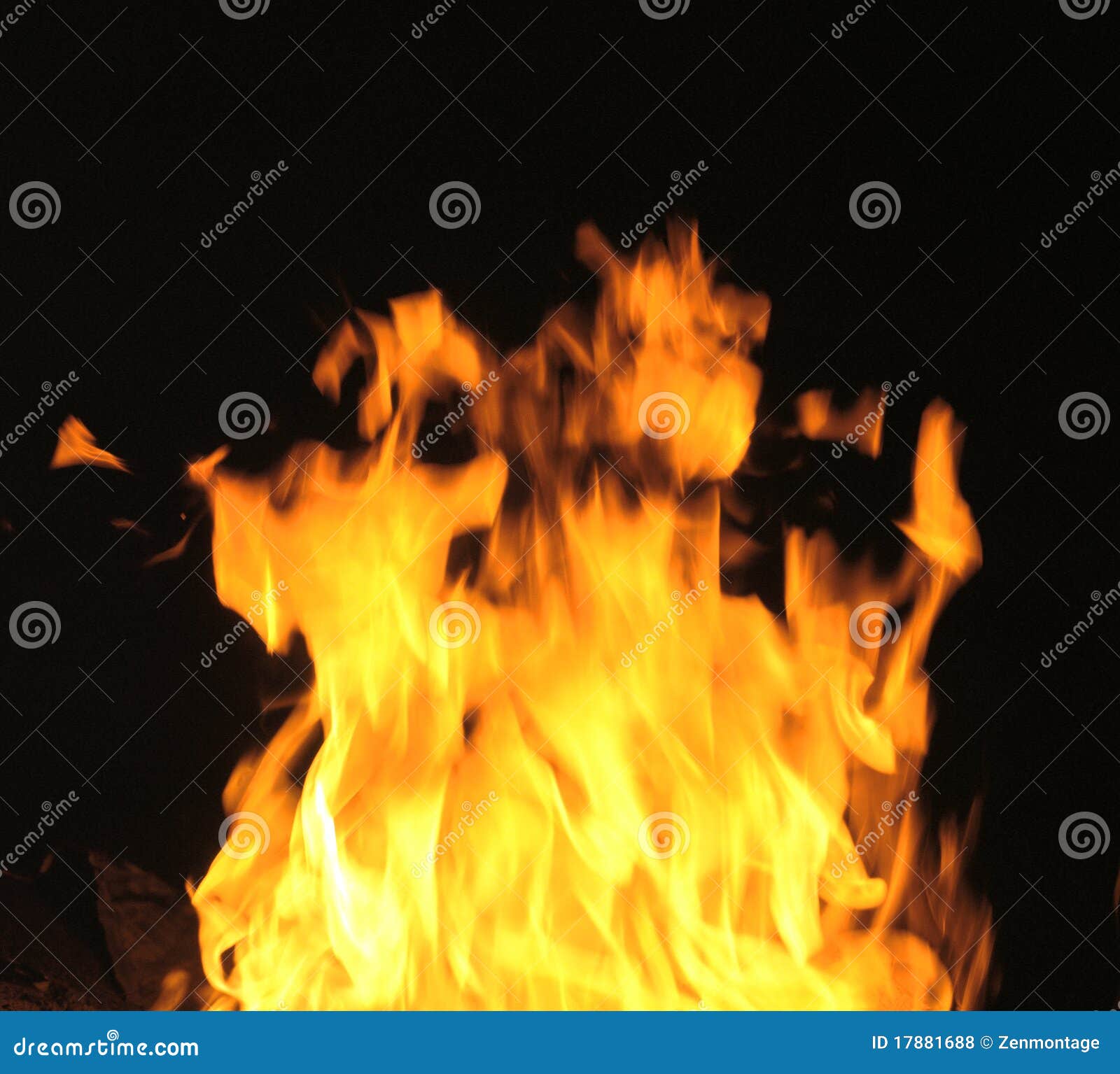 Campfire Flames stock photo. Image of campfire, outside - 17881688