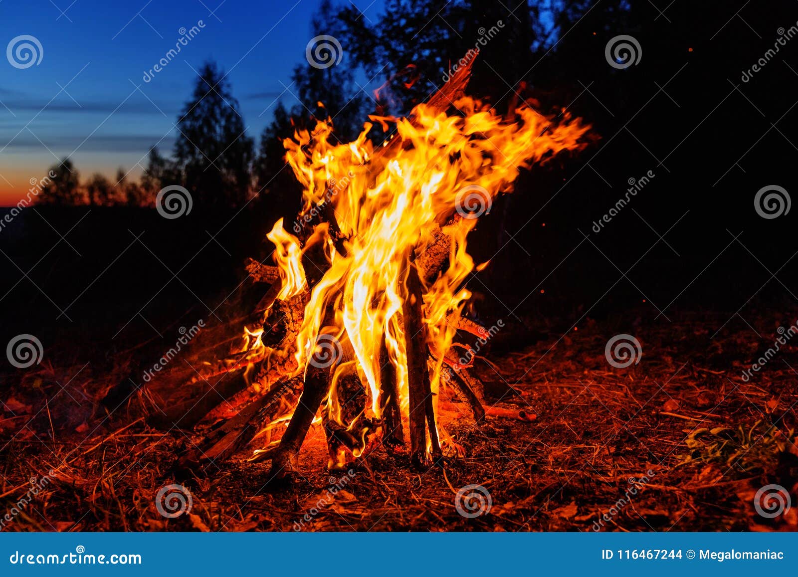 Campfire flames stock photo. Image of blaze, dark, energy - 116467244