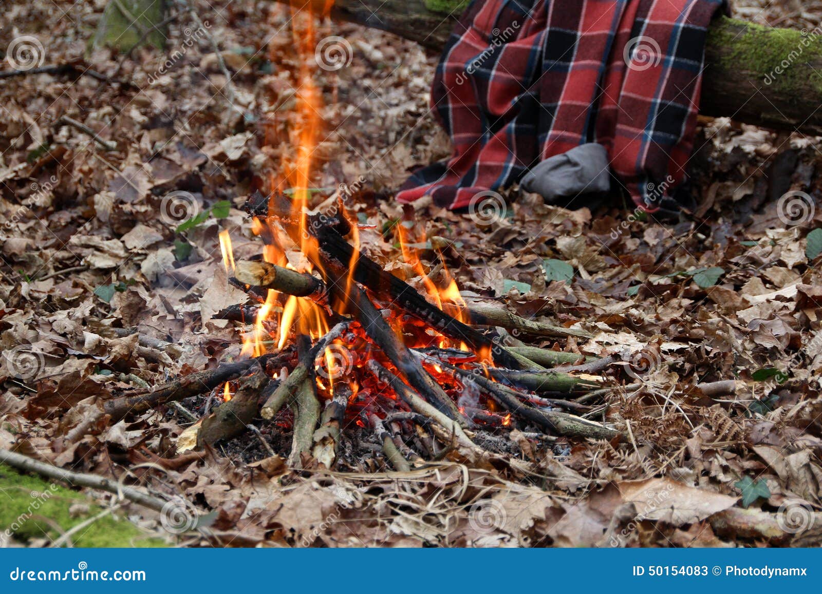 Campfire flames stock image. Image of burn, sticks, timber - 50154083