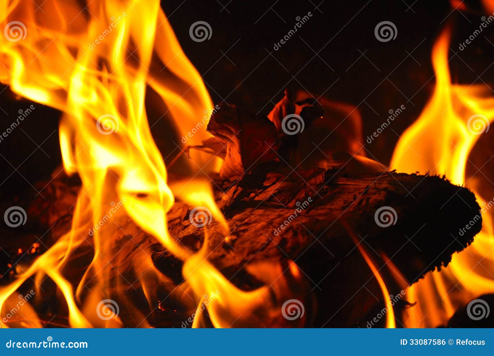 Campfire Flames stock photo. Image of fire, flames, glowing - 33087586