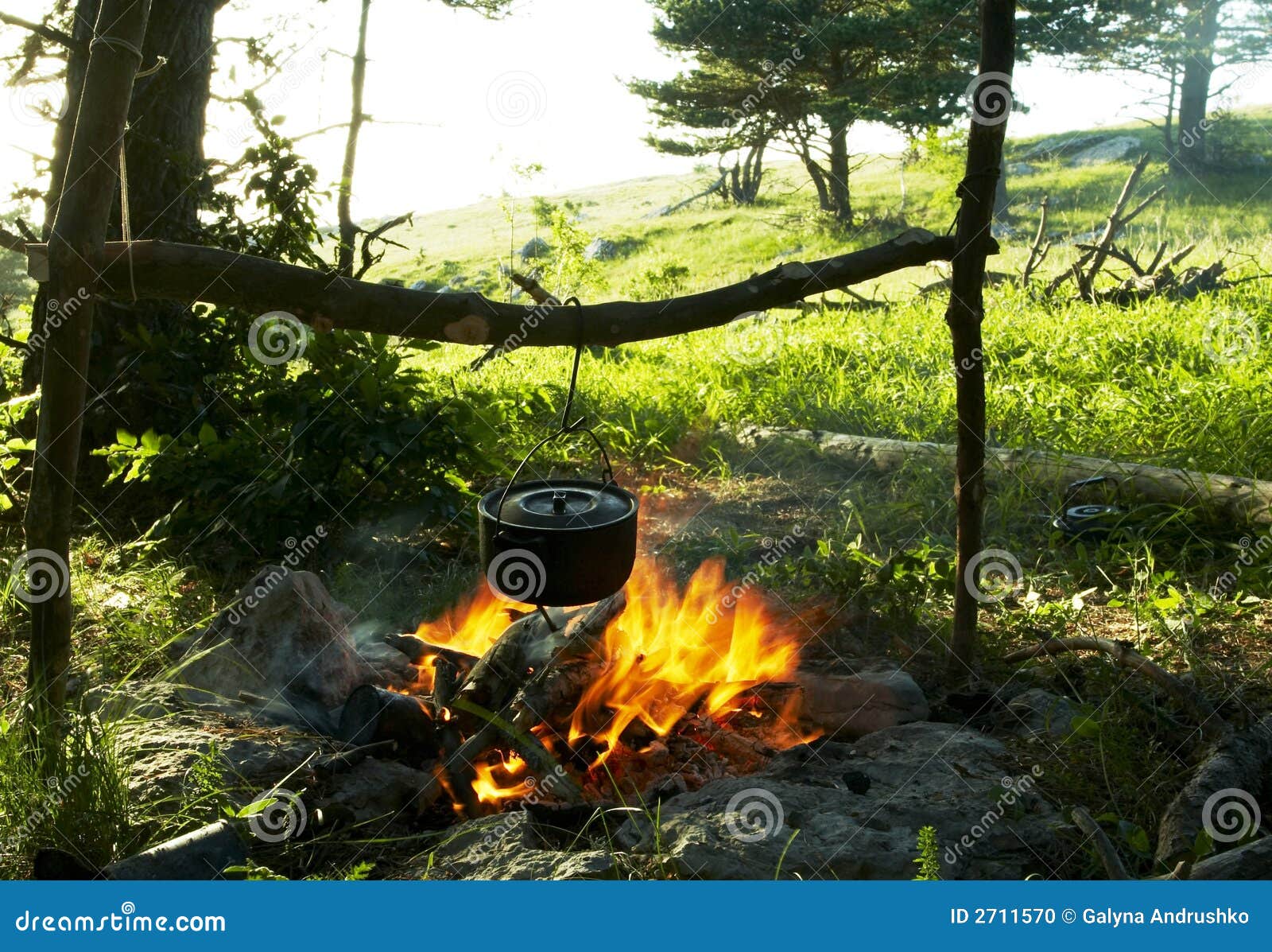 Campfire in forest stock photo. Image of camping, hike - 2711570