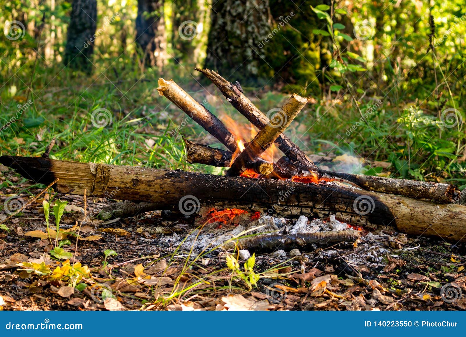 Campfire in the forest stock photo. Image of beautiful - 140223550