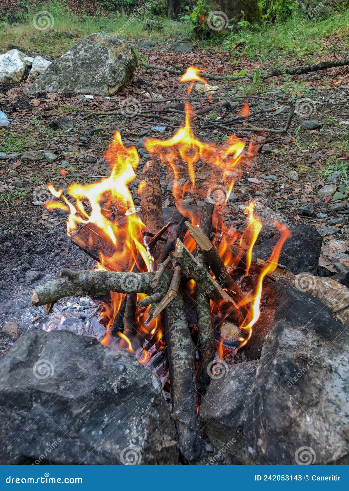Campfire in the Forest, Camping Life Stock Image - Image of firewood ...