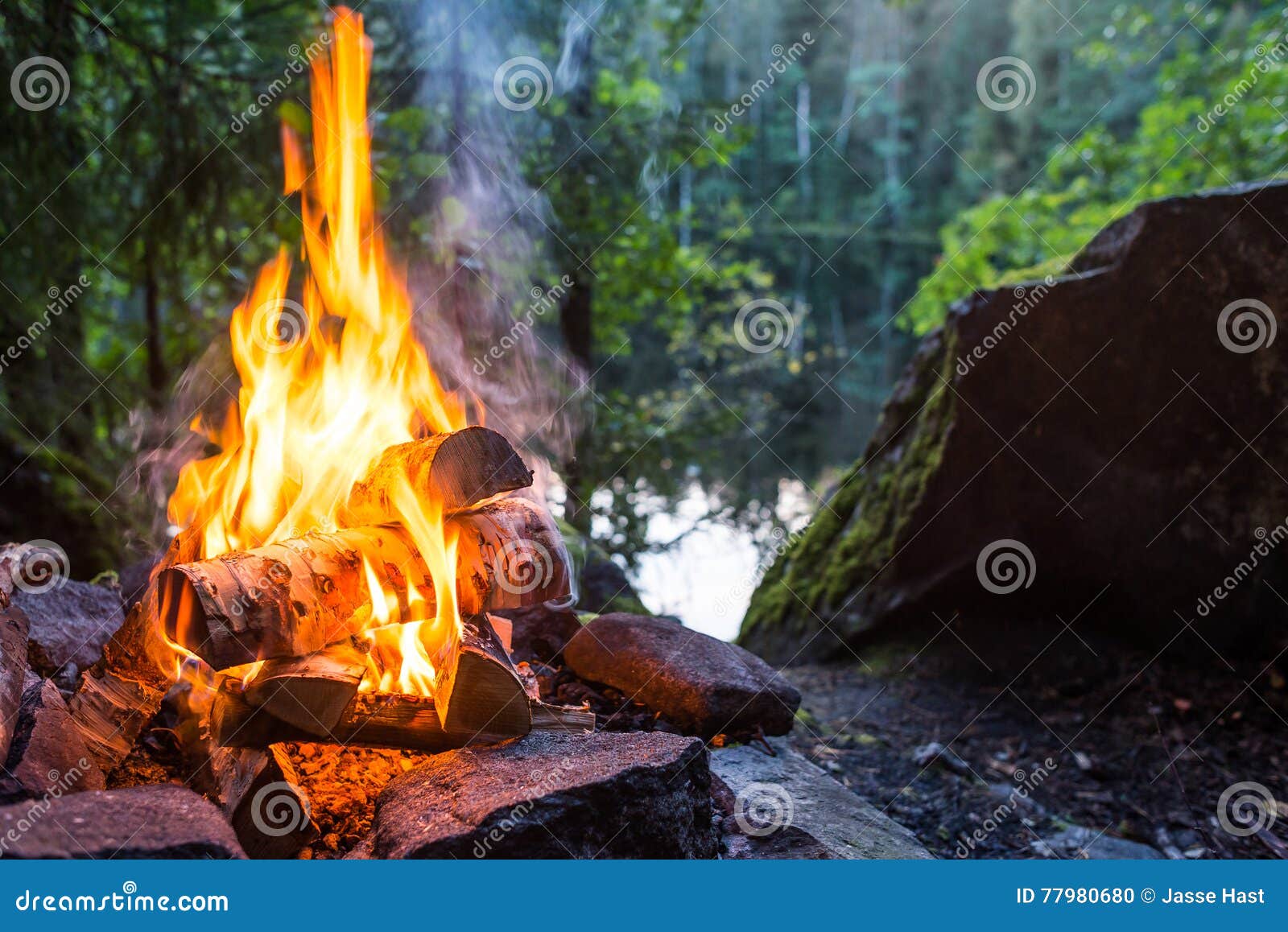 Campfire in forest stock photo. Image of fire, forest - 77980680